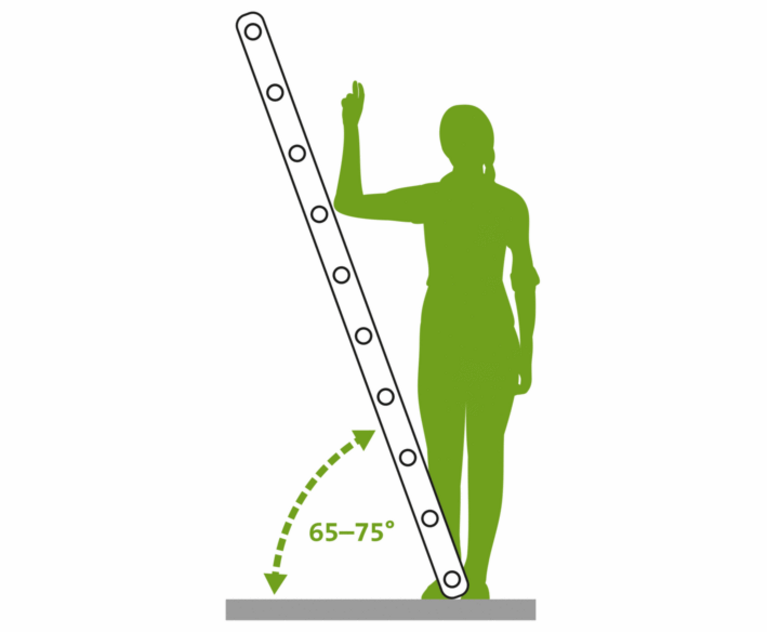 Sicher auf der Leiter: Schneiden und Ernten | Das sichere Haus