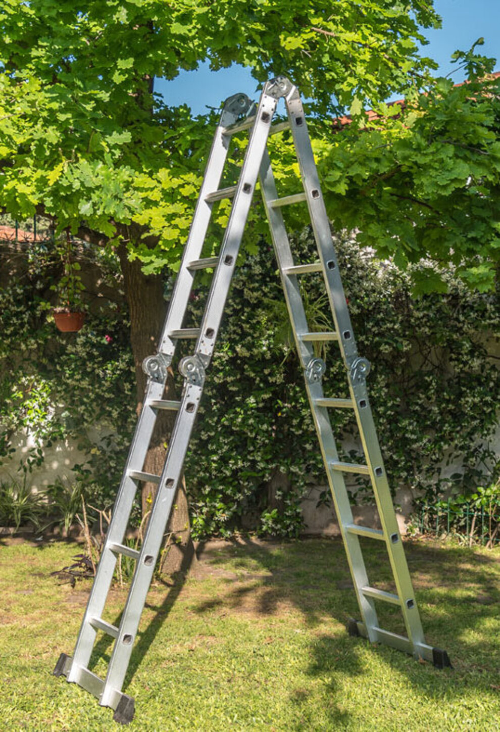 Sicher auf der Leiter: Schneiden und Ernten | Das sichere Haus